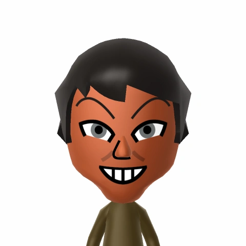 Partner 1 | Mii Archives Wiki | Fandom