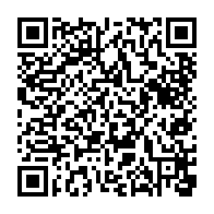 Macchin | Mii Archives Wiki | Fandom