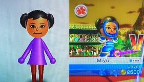 Mii Channel | Mii Archives Wiki | Fandom