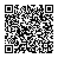 Partner 4 | Mii Archives Wiki | Fandom