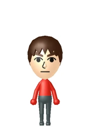 Mii | Wiki Mii Pedia | Fandom