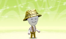 Pop Star Equipment | Miitopia Wiki | Fandom