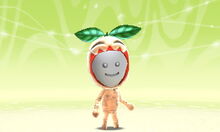 Flower Equipment | Miitopia Wiki | Fandom