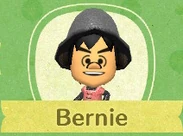 Castle Guard | Miitopia Wiki | Fandom