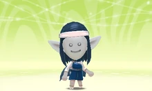 Elf Equipment | Miitopia Wiki | Fandom