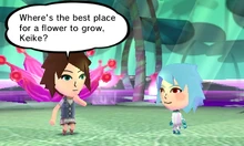 Events/Jobs | Miitopia Wiki | Fandom