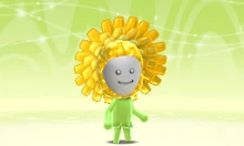 Flower Equipment | Miitopia Wiki | Fandom