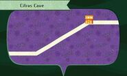 Citrus Cave | Miitopia Wiki | Fandom