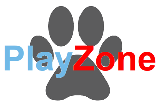PlayZone | MikeAll Wiki | Fandom