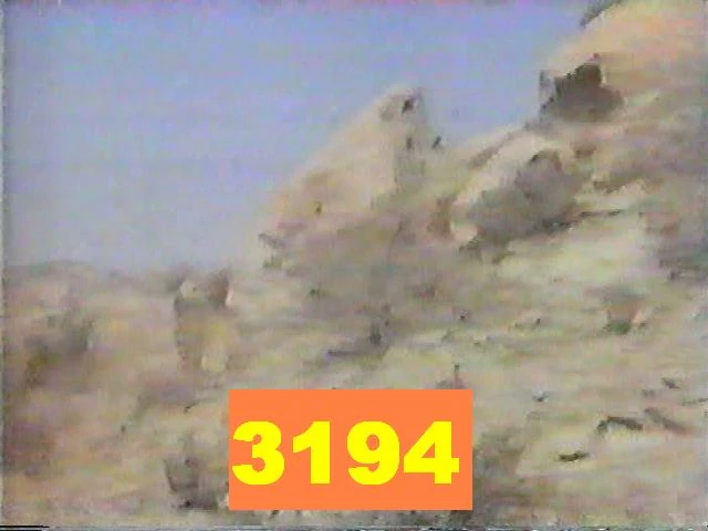 3194 | Mikeymini Wiki | Fandom