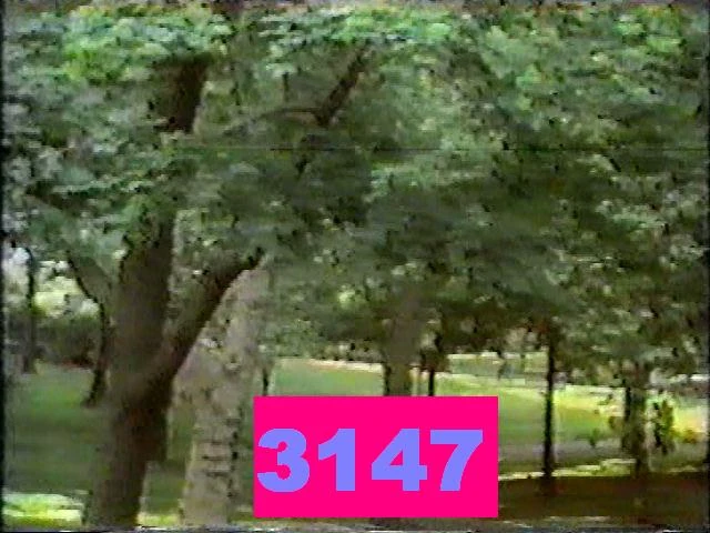 3147 | Mikeymini Wiki | Fandom