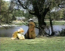 SS Episode 2269 | MikeyMini87 Wikia | Fandom