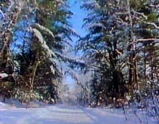 SS Episode 3084 | MikeyMini87 Wikia | Fandom