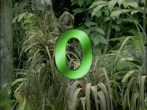 Animal Numbers | Mikeyminizback Wiki | Fandom