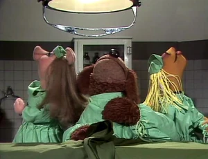 Sesame Street and The Muppet Show Sketches for Mechanics ...