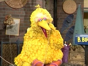 Learning About Numbers | Mikeyminizback Wiki | Fandom