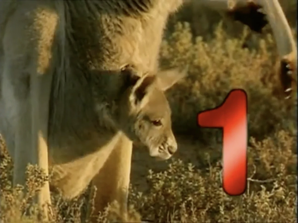 Animal Numbers (segment) | Mikeyminizback Wiki | Fandom