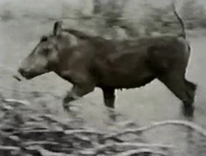 Episode 2461 | Mikeyminizback Wiki | Fandom