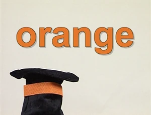 Baby Einstein: Baby Van Gogh | Mikeyminizback Wiki | Fandom