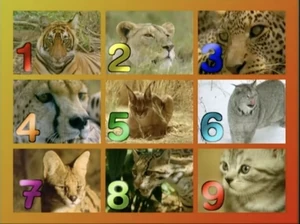 Animal Numbers | Mikeyminizback Wiki | Fandom