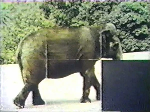 Episode 3608 | Mikeyminizback Wiki | Fandom