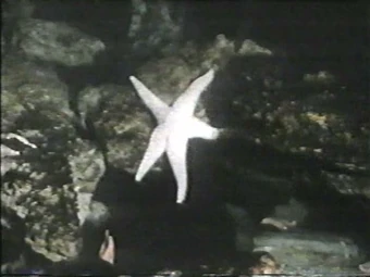 Episode 2489 | Mikeyminizback Wiki | Fandom