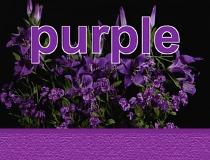 Baby Einstein: Baby Van Gogh | Mikeyminizback Wiki | Fandom