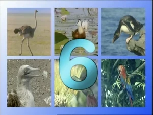 Animal Numbers | Mikeyminizback Wiki | Fandom