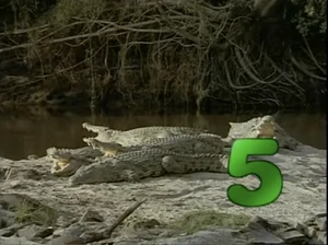 Animal Numbers | Mikeyminizback Wiki | Fandom