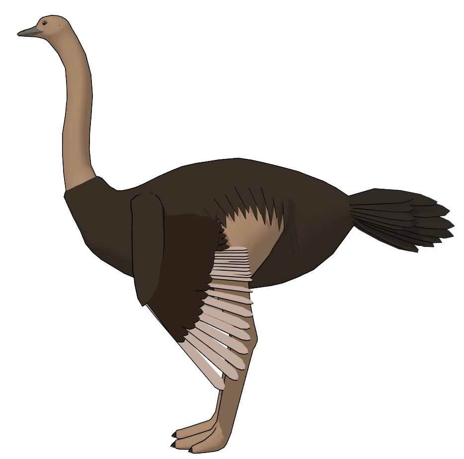 Ostrich (Nabebuta) | MikuMikuDance Wiki | Fandom