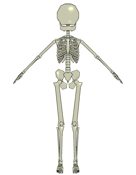 Skeleton (Yaju Nengmei) | MikuMikuDance Wiki | Fandom