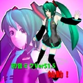 Miku Hatsune (Sosou) | MikuMikuDance Wiki | Fandom