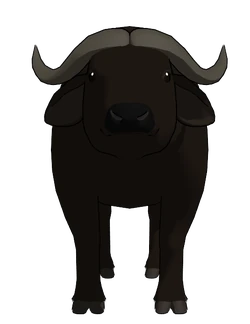 African Buffalo (Nabebuta) | MikuMikuDance Wiki | Fandom