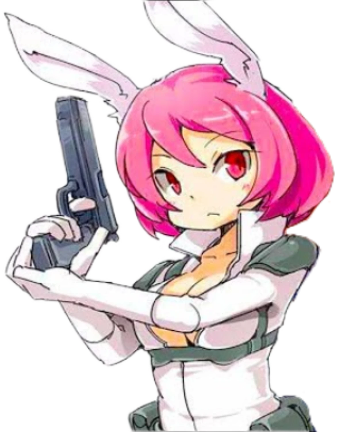 Usaco | Milia Wars Wiki | Fandom