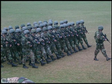 Paraguayan Army | Military Wiki | Fandom