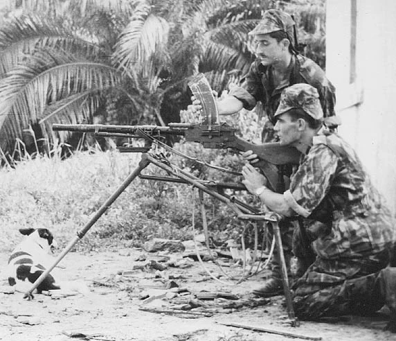 Madsen Machine Gun | Military Wiki | Fandom