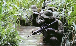 Colt M16 | Military Wiki | Fandom