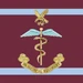 16th Medical Regiment (United Kingdom) | Military Wiki | Fandom