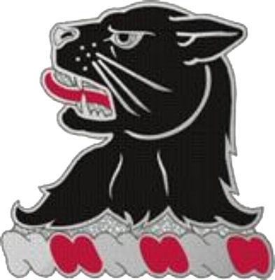 11th Engineer Battalion (United States) | Military Wiki | Fandom