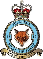 No. 12 Squadron RAF | Military Wiki | Fandom
