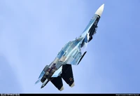 Pugachev's Cobra | Military Wiki | Fandom