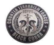 Black Cobra Special Forces | Military Wiki | Fandom