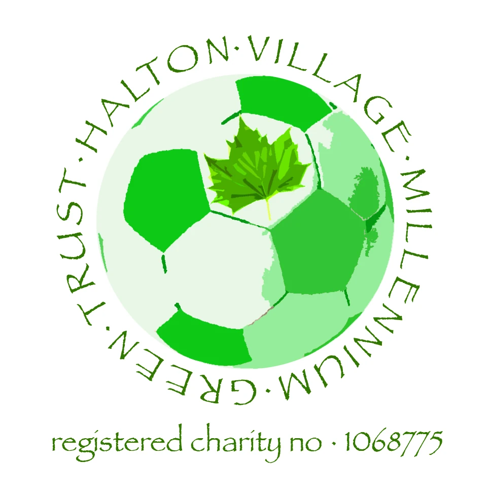 Halton Village | Millennium Green Wiki | Fandom