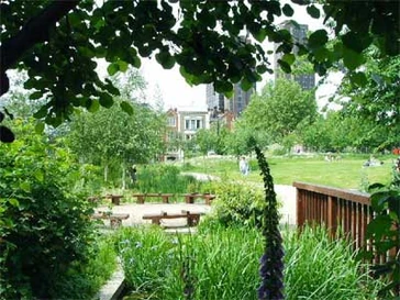 Waterloo | Millennium Green Wiki | Fandom