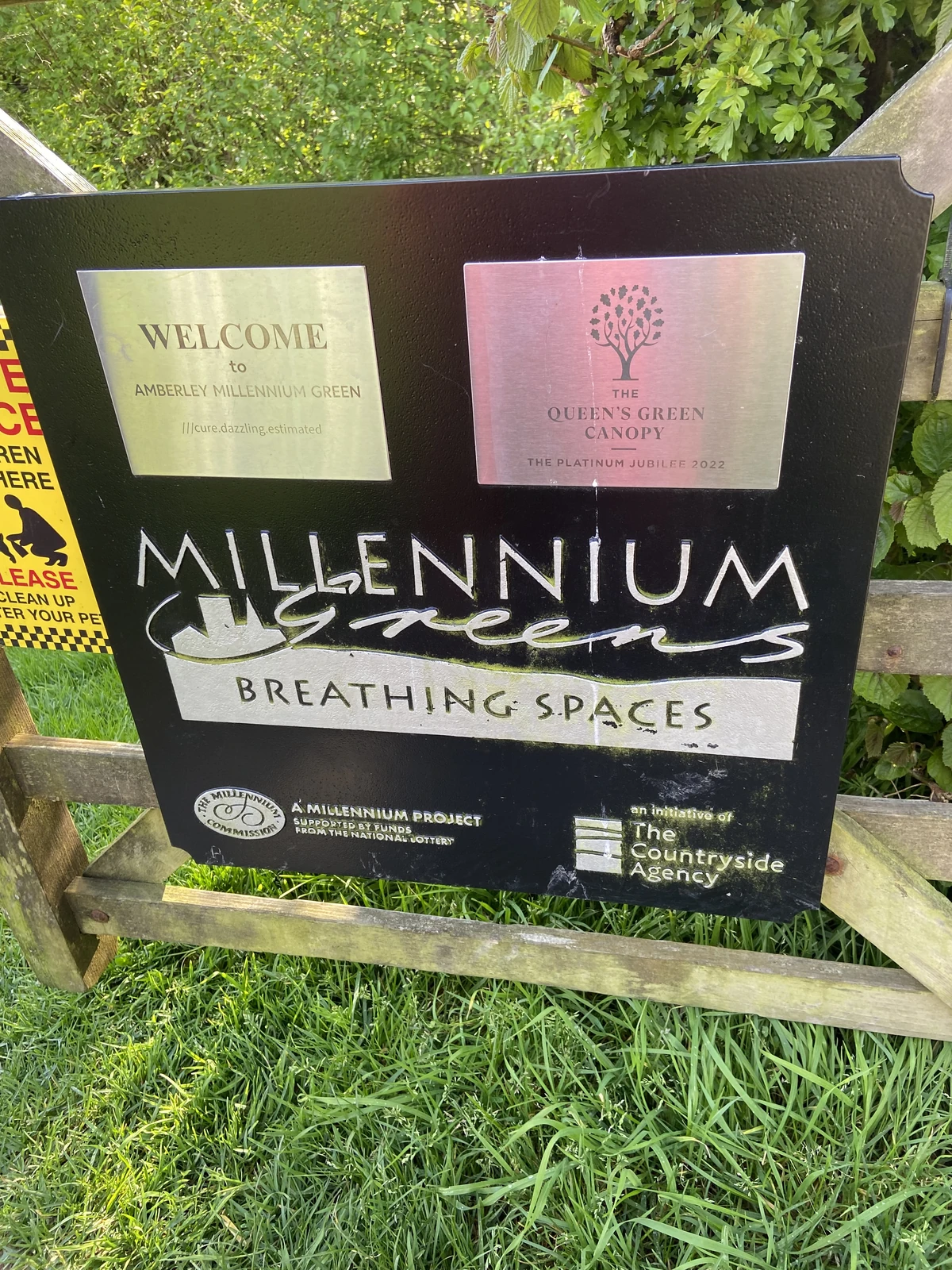 Amberley | Millennium Green Wiki | Fandom