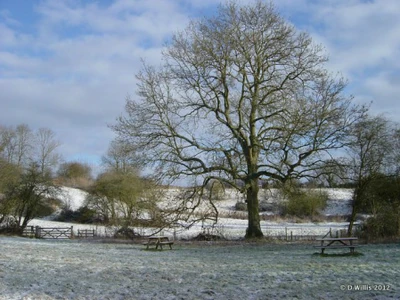 Inkberrow | Millennium Green Wiki | Fandom