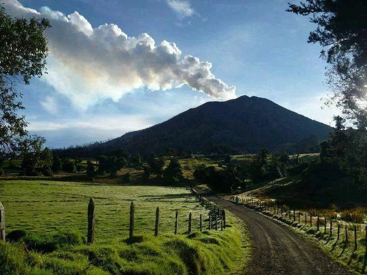 Turrialba | Wiki Miller the cockroach team | Fandom