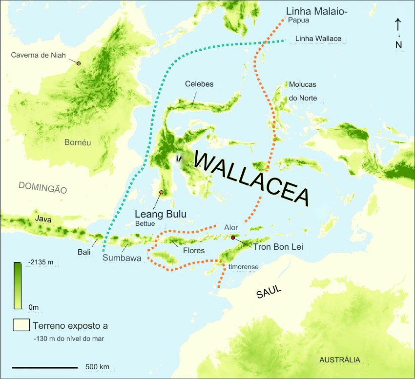 Wallacea | Wiki Miller the cockroach team | Fandom