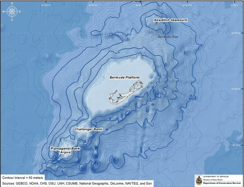 Bermuda Pedestal | Wiki Miller the cockroach team | Fandom