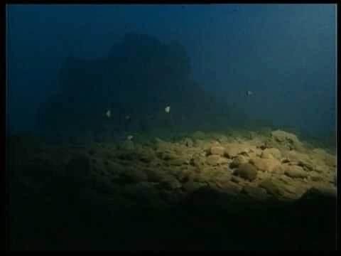 Macdonald Seamount (Mont sous-marin MacDonald) | Wiki Miller the ...